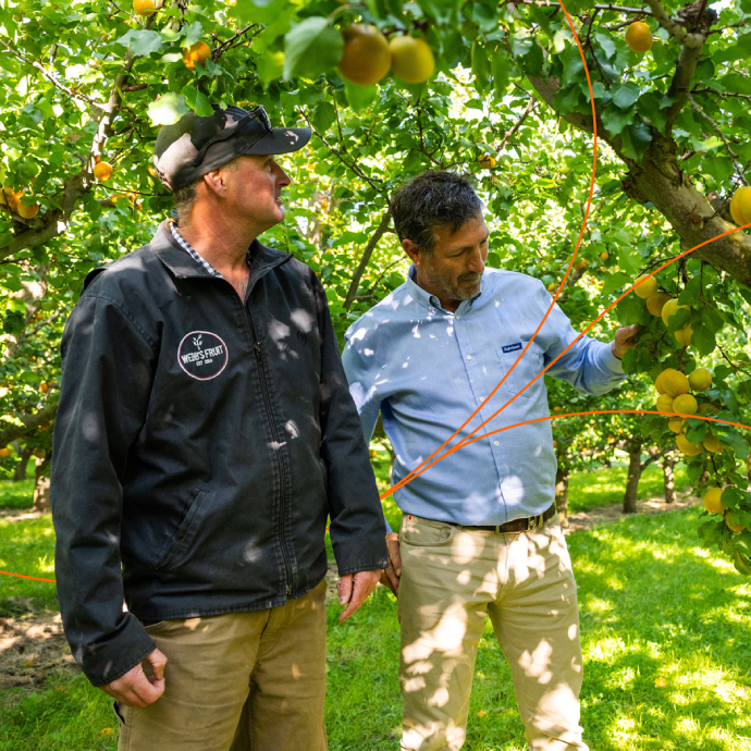 BCG2: We believe in ideas that make a difference